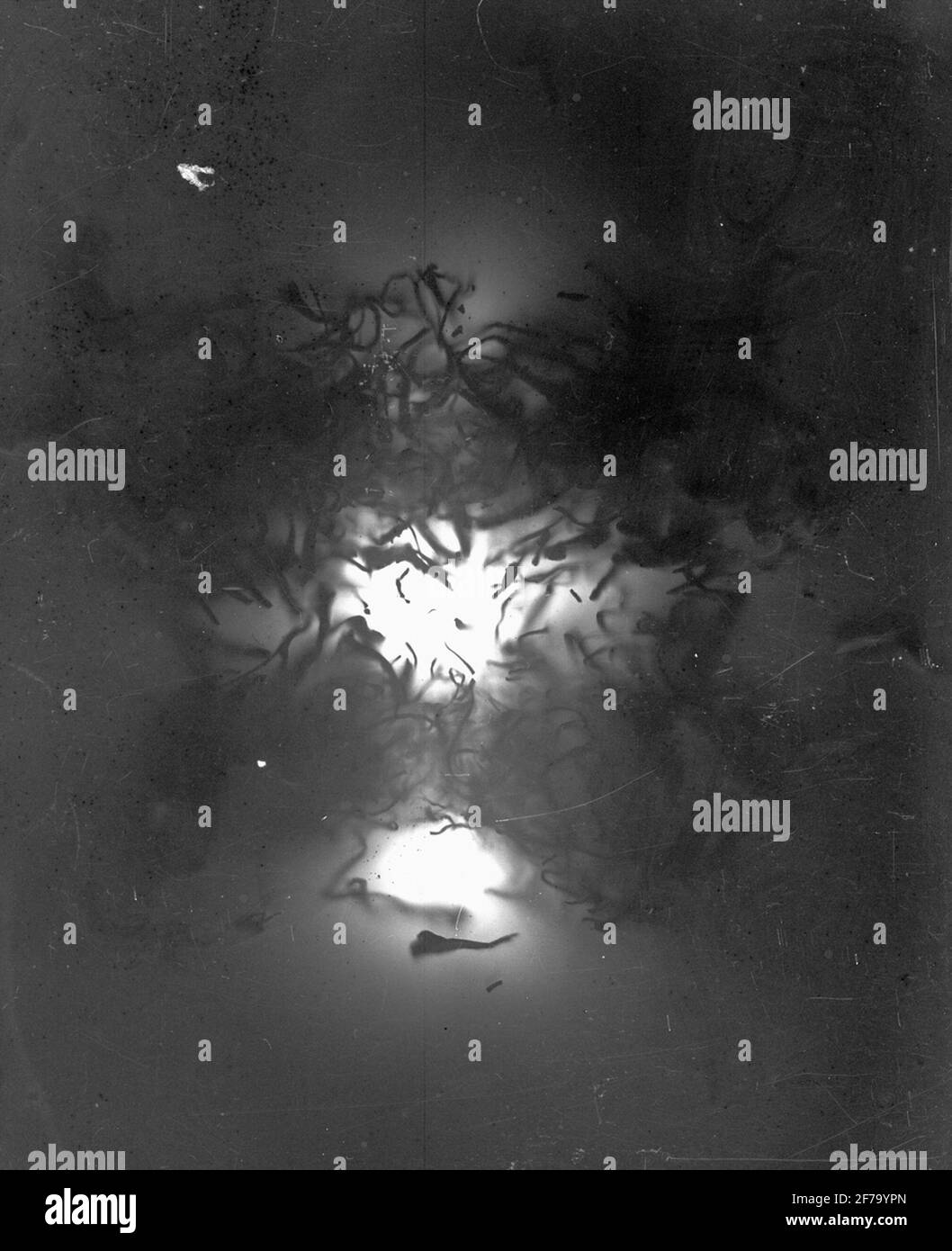 Saffron laboratory Black and White Stock Photos & Images - Alamy