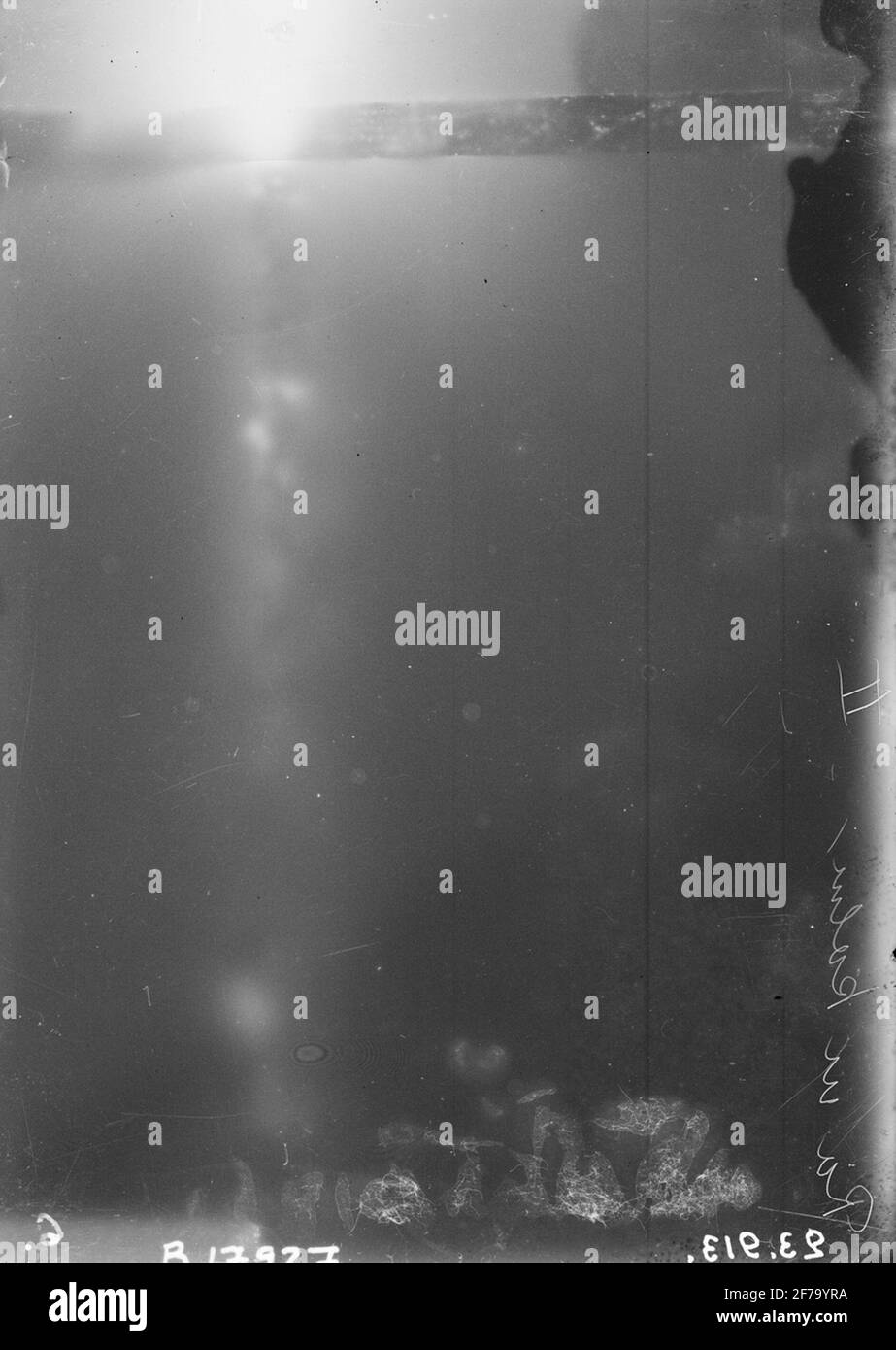 Preparations made from the chemist John Landin. (1861-1920). From ...