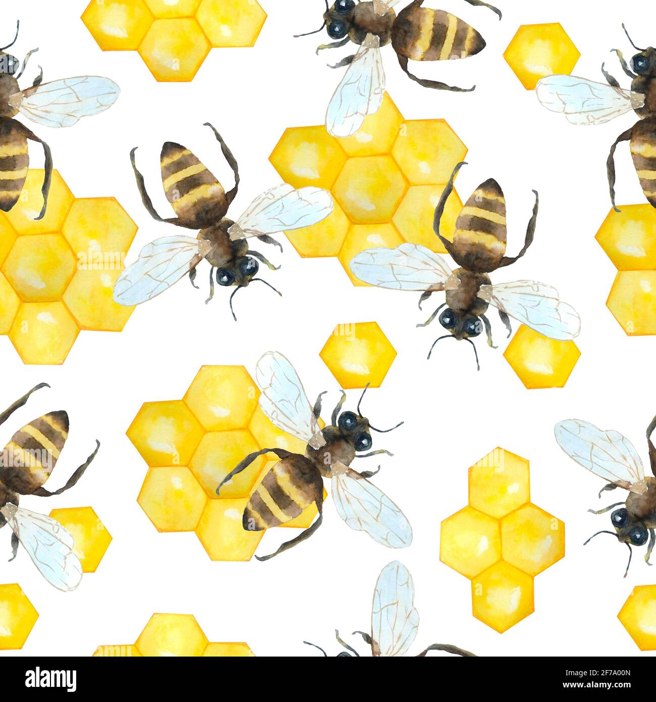 Bumble Bee Hive Wallpaper What's The Difference Between Carpenter Bees