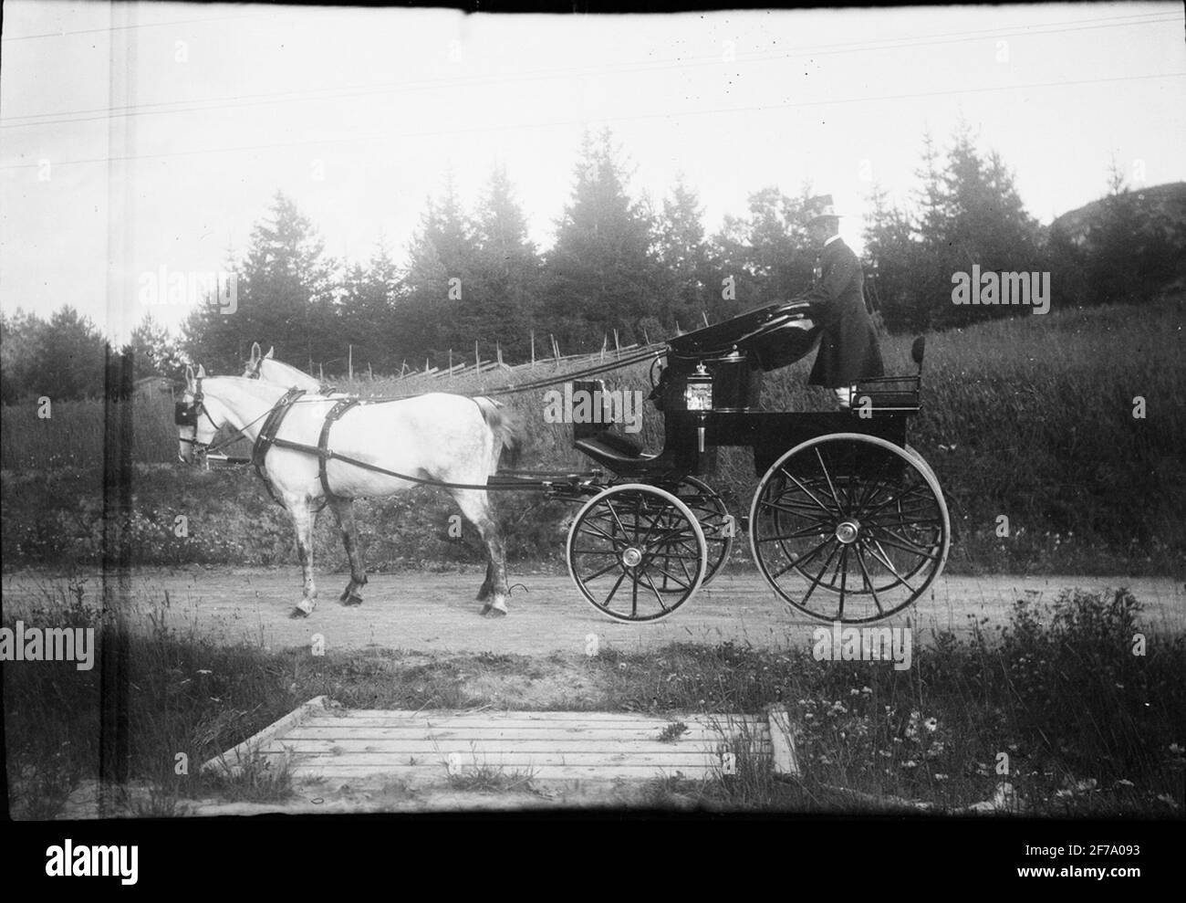 Queen Victoria's pictures. An ekipage, horse and carriage with driving ...