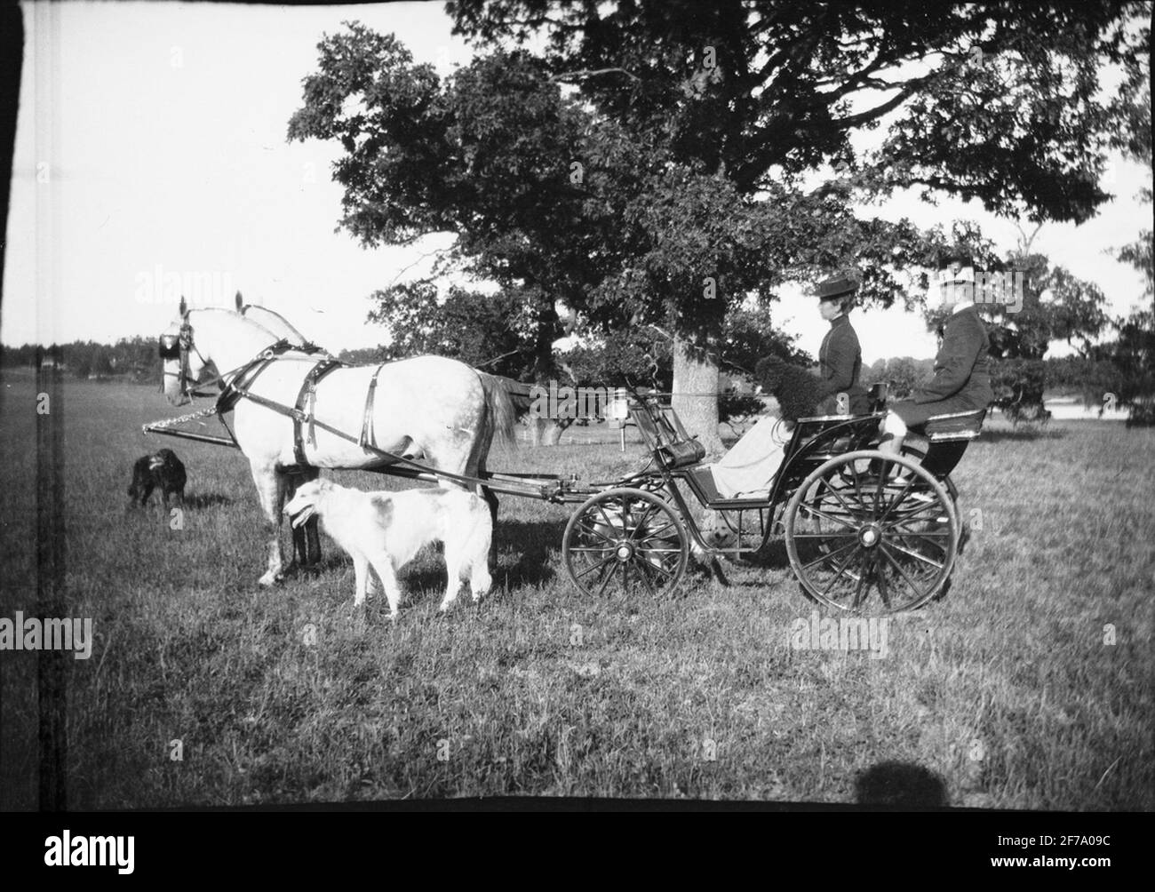 Queen Victoria Pictures.Drottning Victoria Run an ekipage, horse and ...