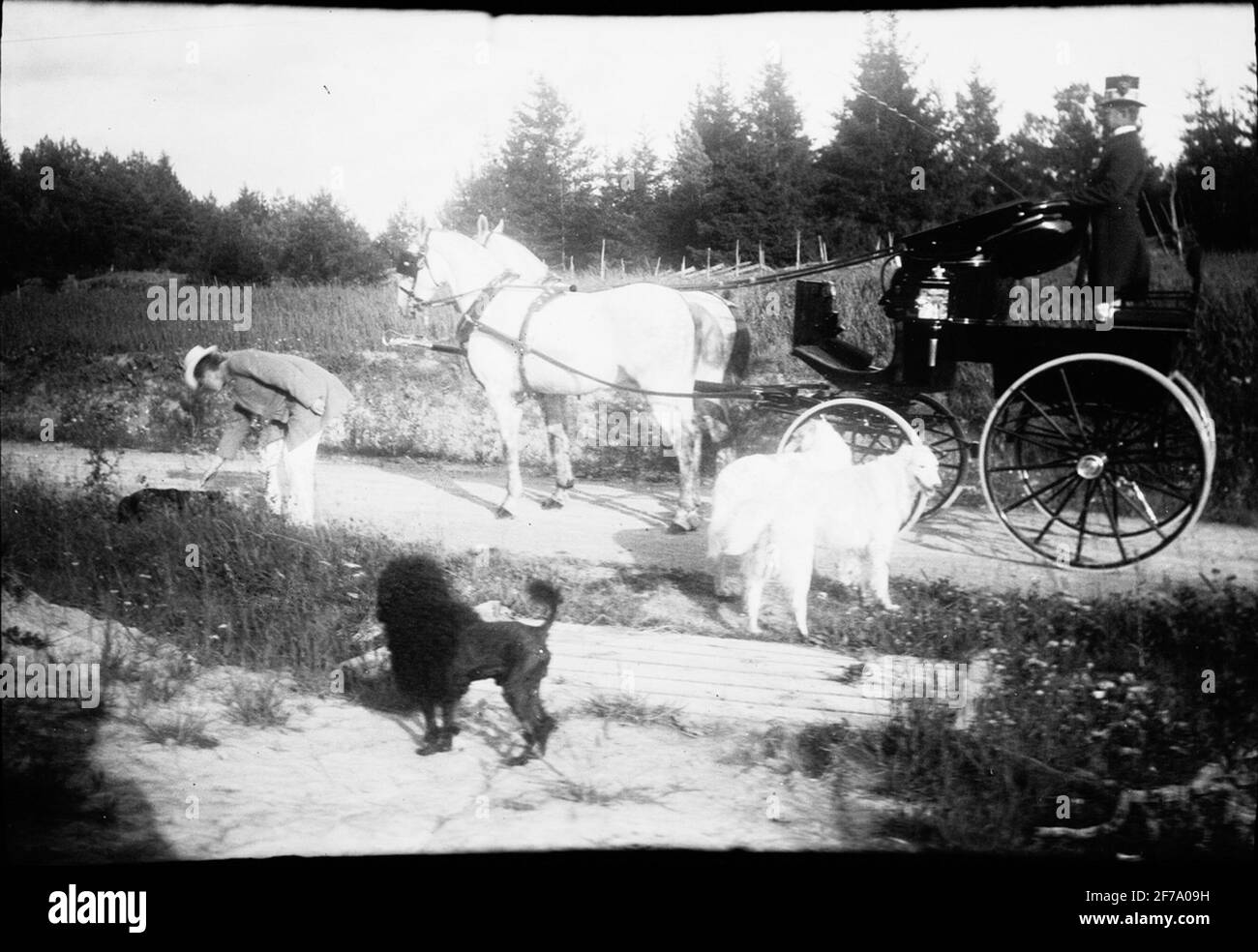 Queen Victoria's pictures. An ekipage, horse and carriage with driving ...