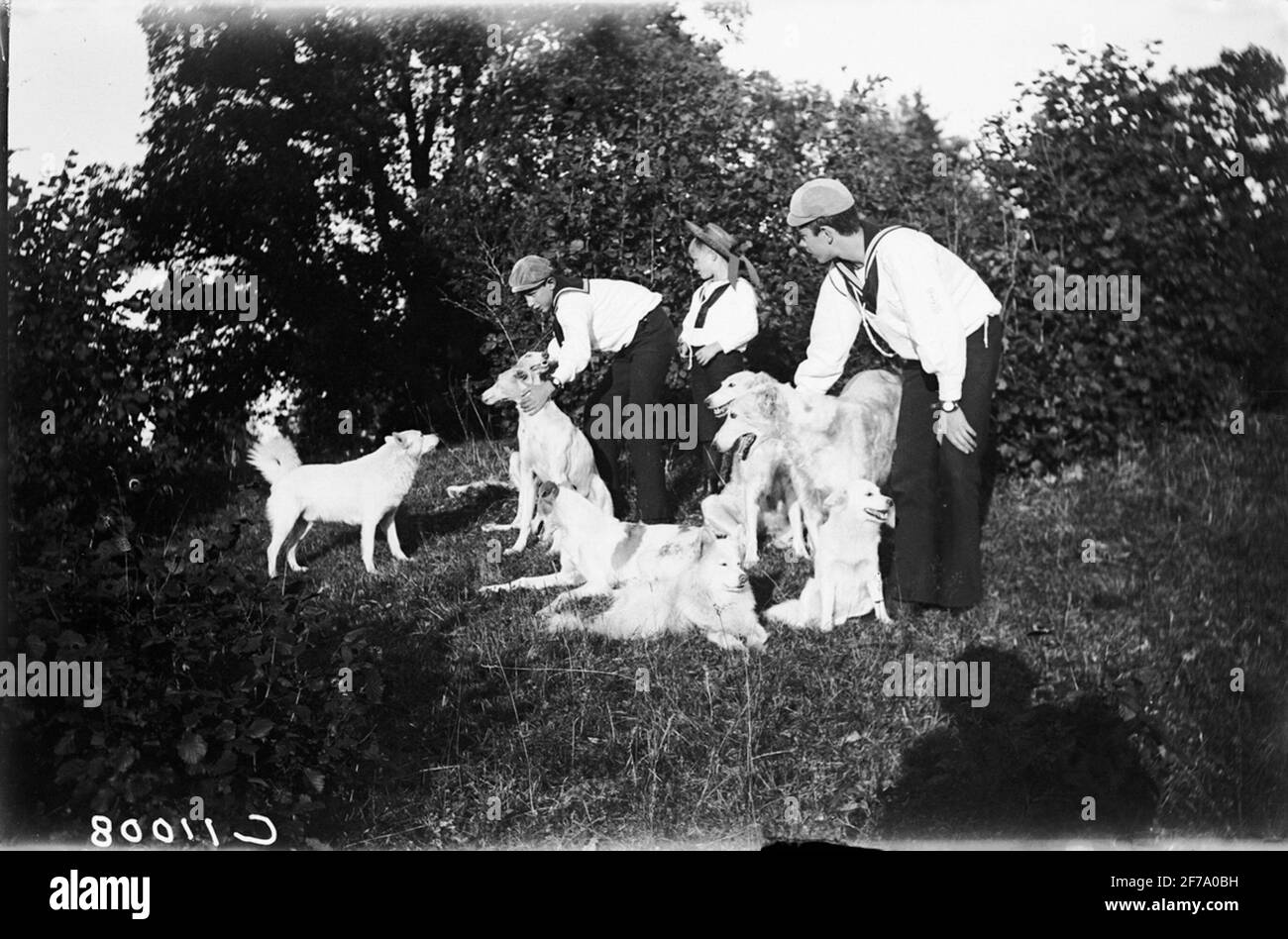 Queen Victoria's pictures. The princes Wilhelm, Erik and Gustaf Adolf ...
