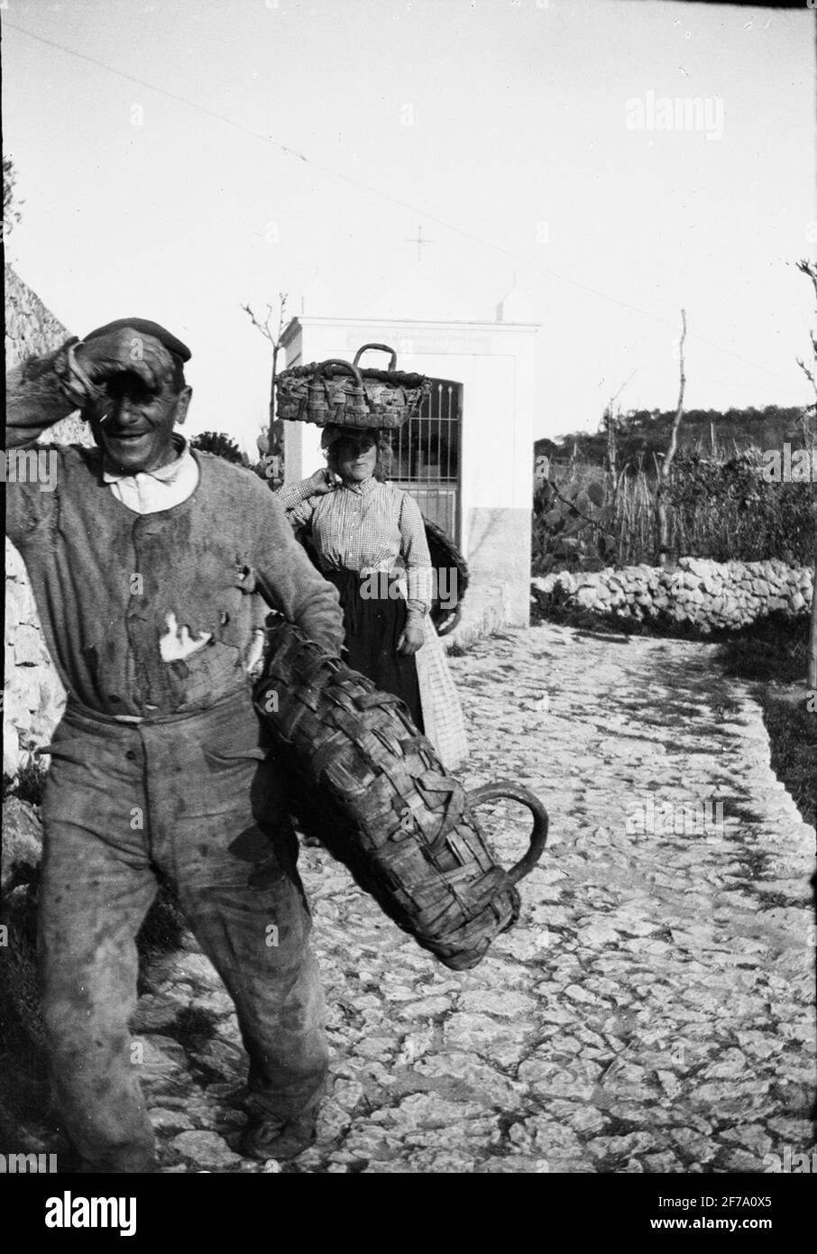Queen Victoria's pictures. Basket carrier during harvest time. Capri ...