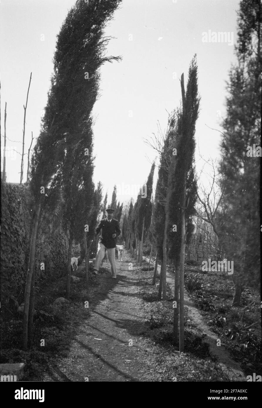 Queen victorias walk hi-res stock photography and images - Alamy