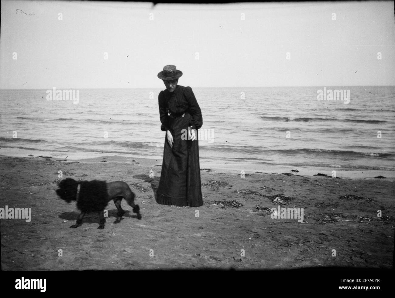 Queen Victoria's pictures. A lady, Victoria?, With dog on the beach ...