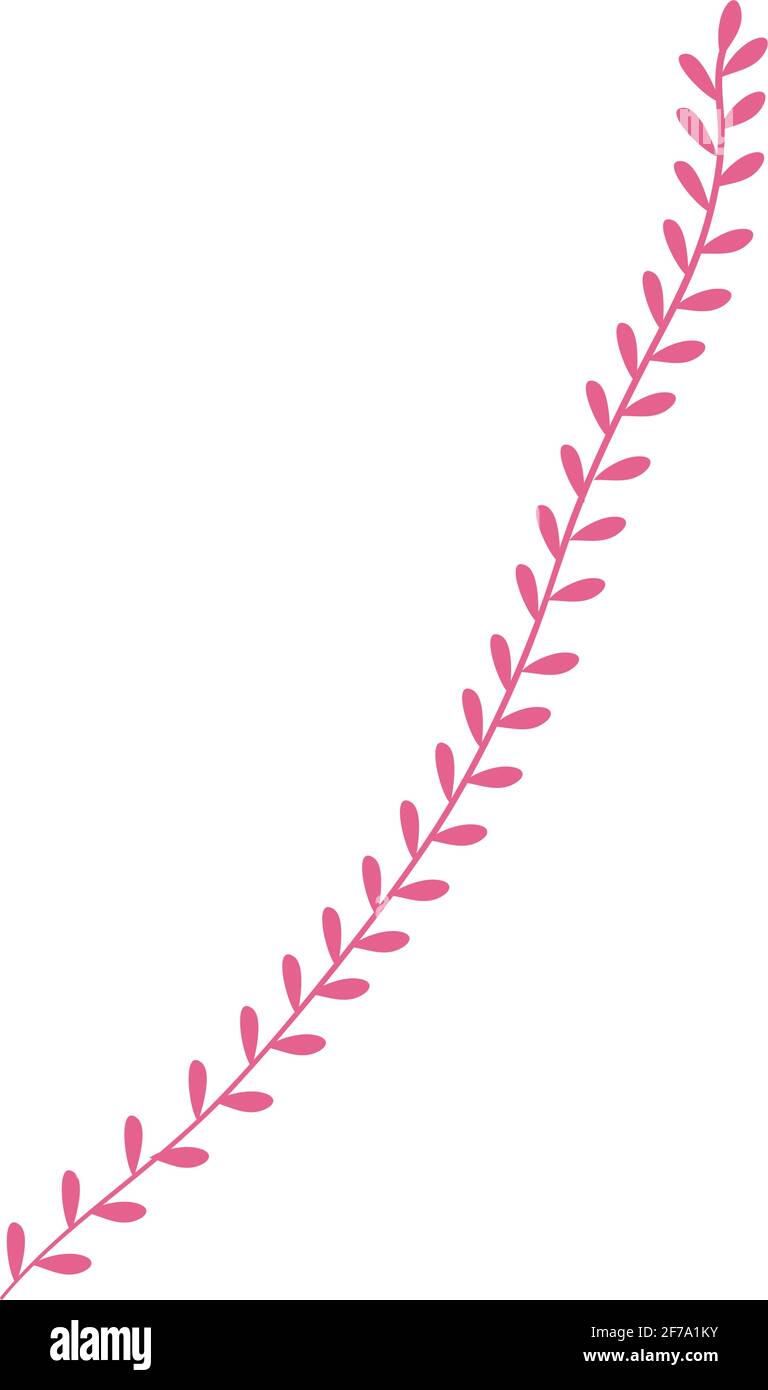 stem with small leaves design Stock Vector Image & Art - Alamy