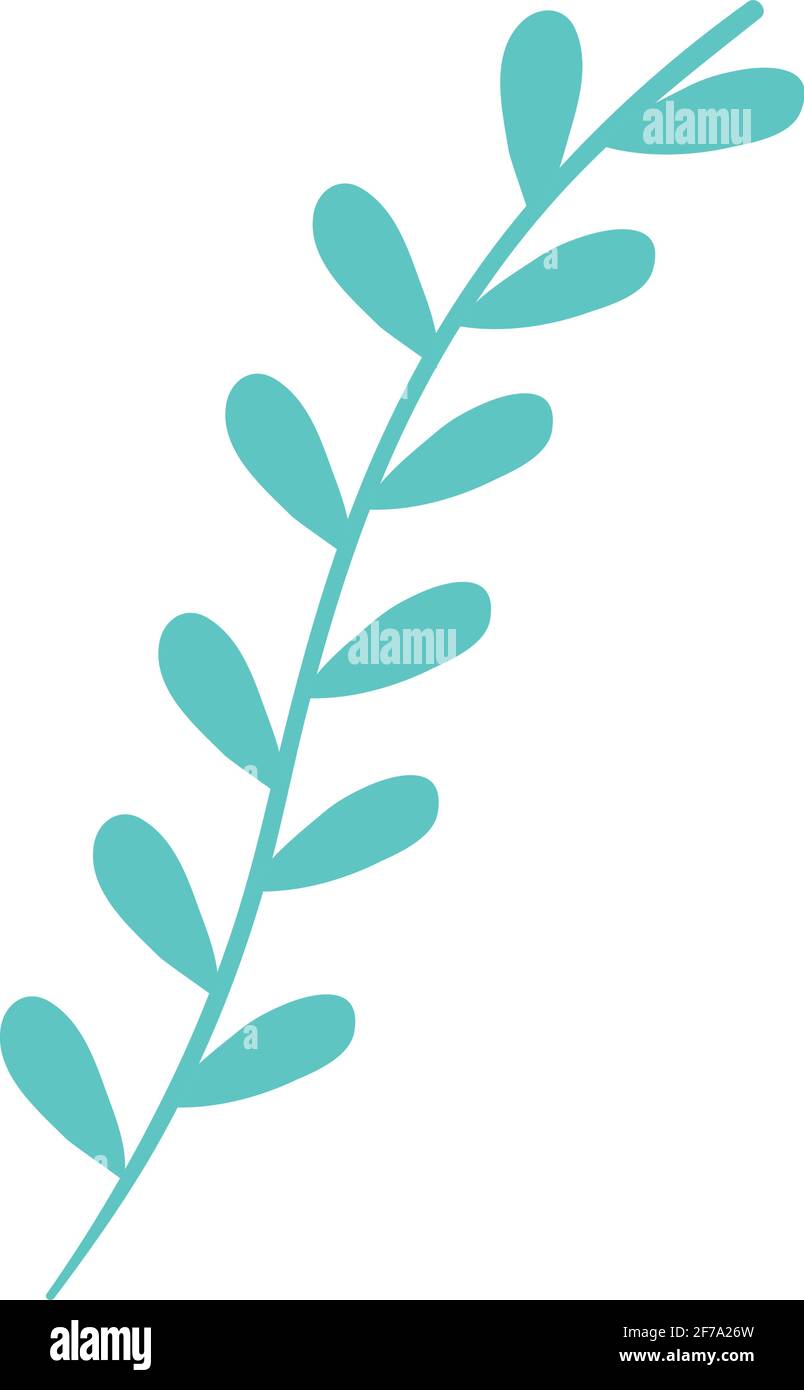 leaves stem on white background Stock Vector Image & Art - Alamy