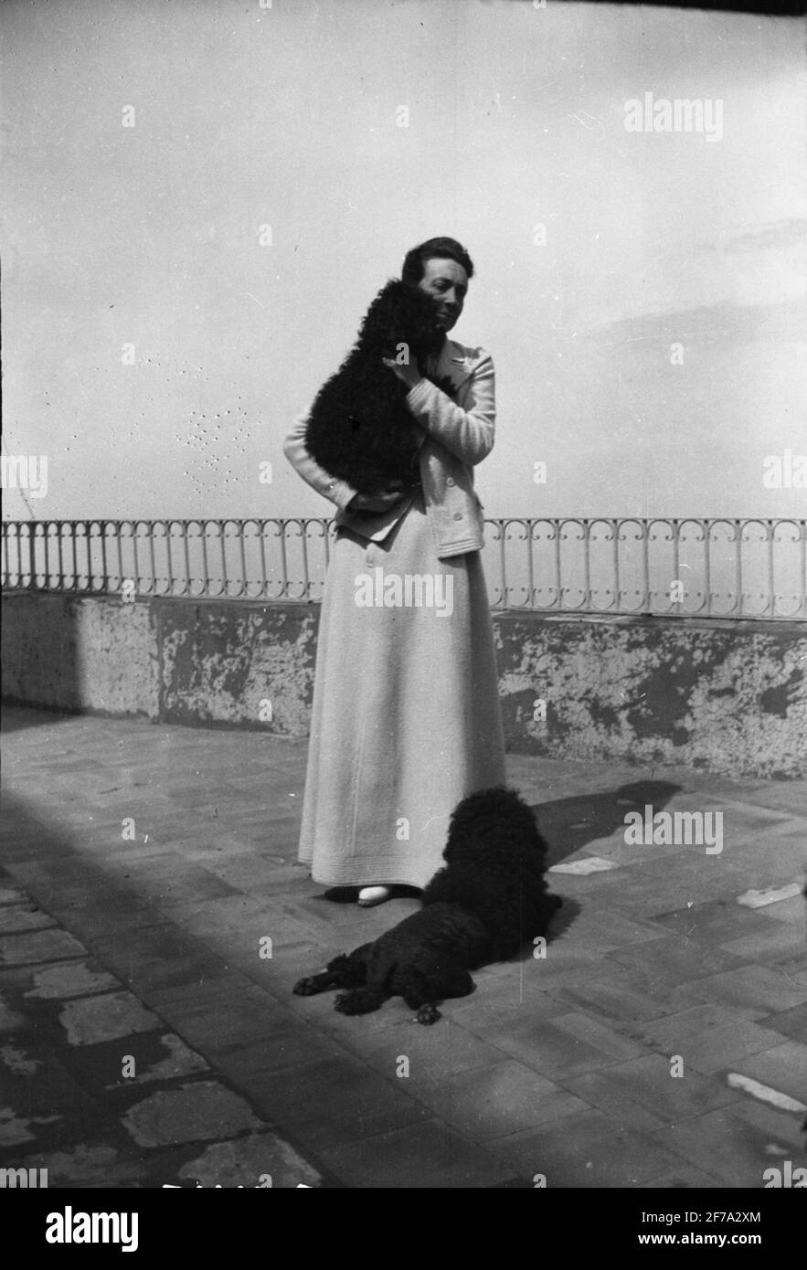 Queen Victoria's pictures. Victoria with their poodles Stock Photo - Alamy