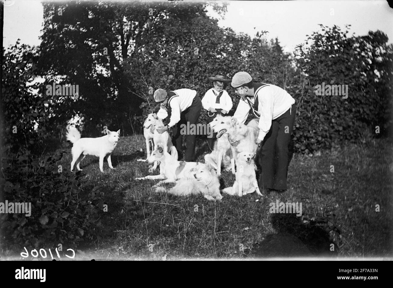 Queen Victorias Dogs High Resolution Stock Photography and Images - Alamy
