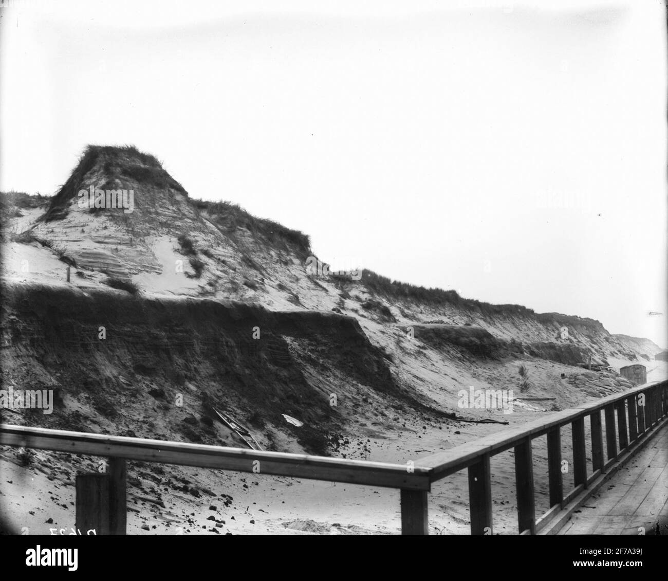 Wood in sand Black and White Stock Photos & Images - Alamy