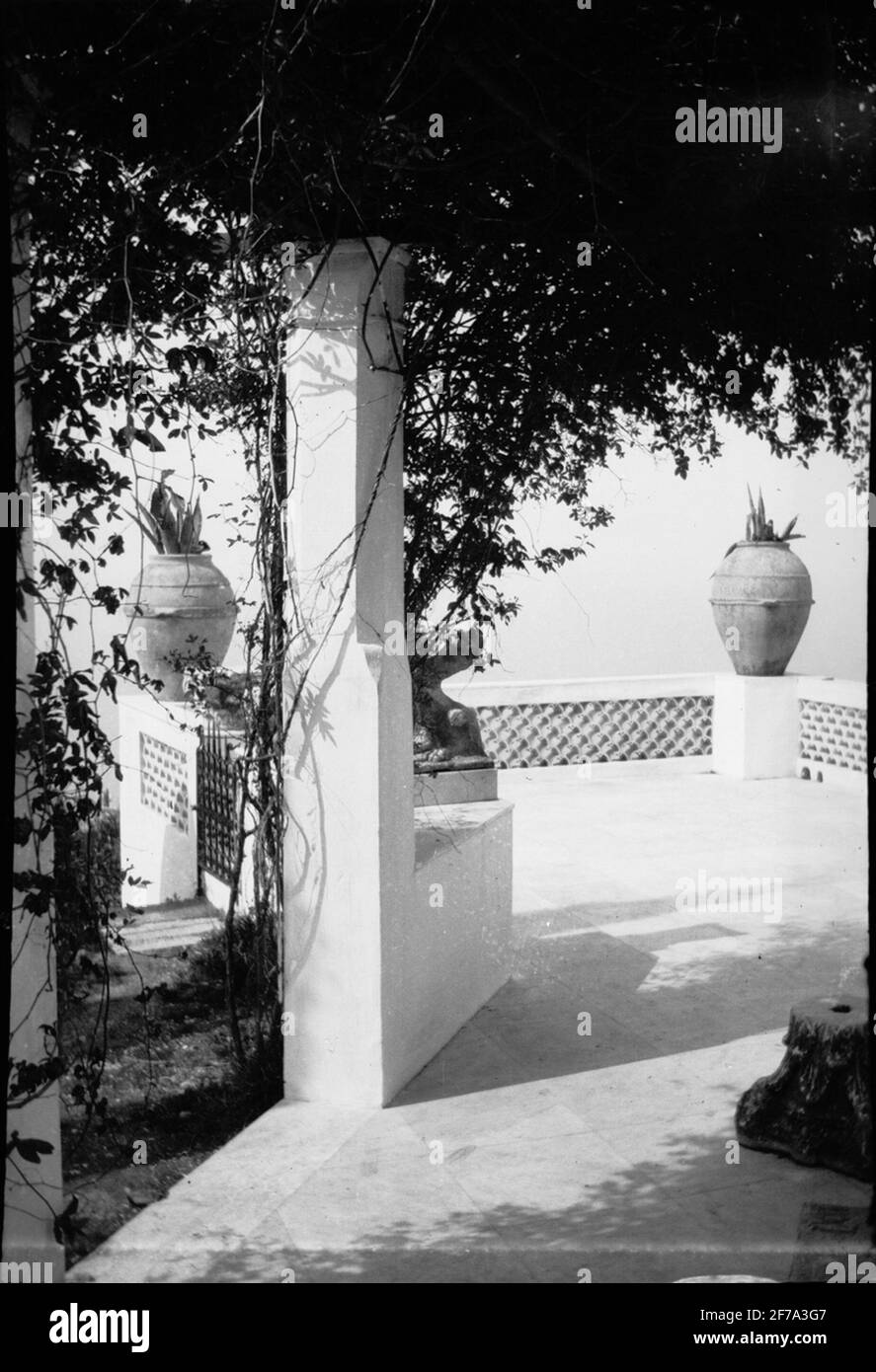 Queen Victoria pictures. Vines at balcony Stock Photo - Alamy