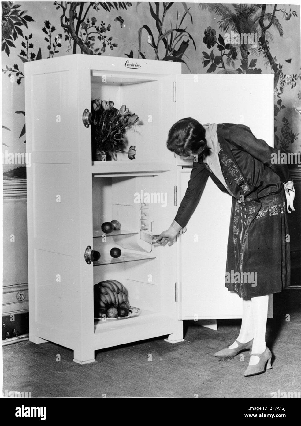 Old refrigerator household appliances Black and White Stock Photos ...