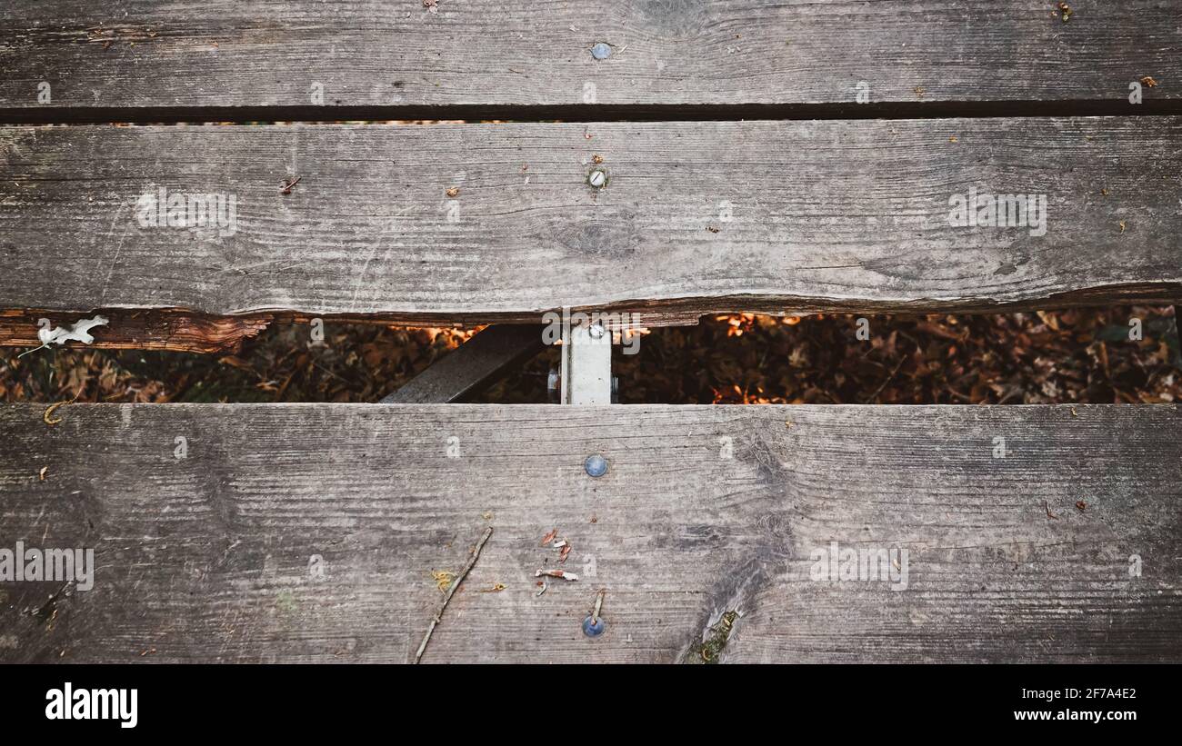 A bridge in the Forest missing a plank Stock Photo - Alamy