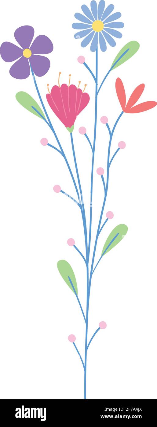 stem with beautiful flowers design Stock Vector Image & Art - Alamy