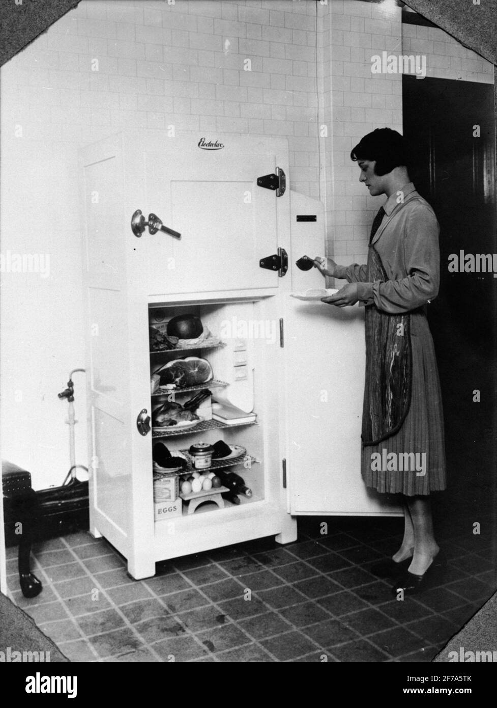 Electrolux refrigerator, open. Female demonstrator Stock Photo - Alamy
