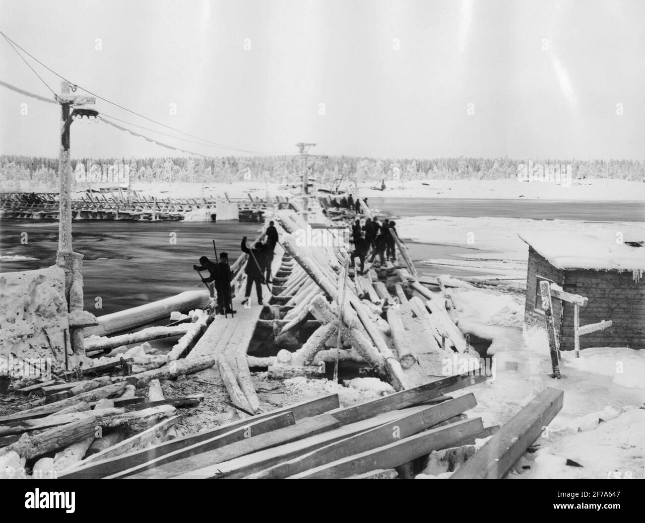 Porus power plants. Prisoner. Great river sheep Stock Photo - Alamy