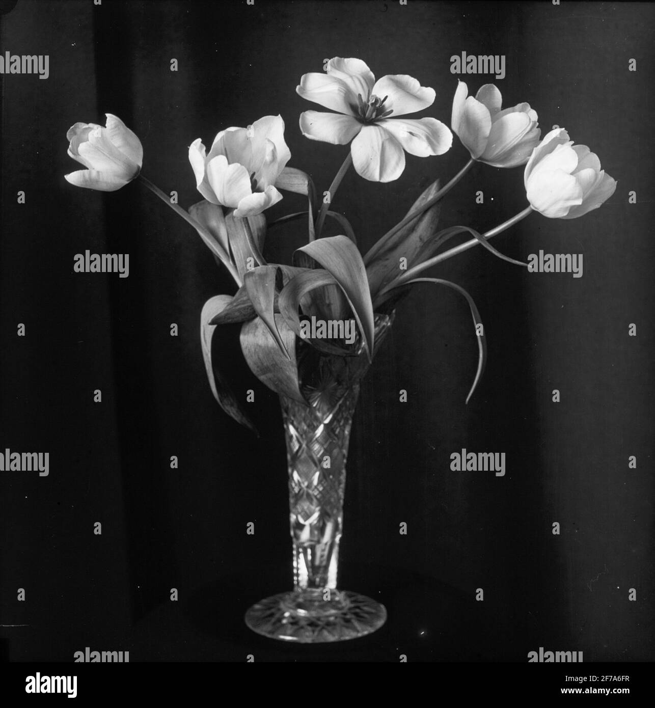 Glassmaking process Black and White Stock Photos & Images - Alamy