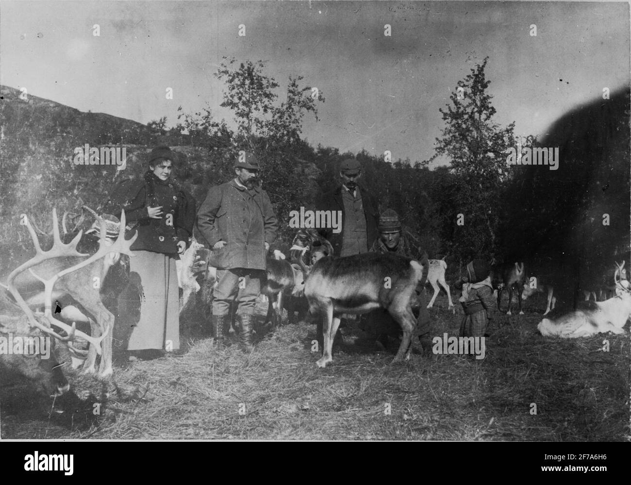 Copper motif hi-res stock photography and images - Alamy