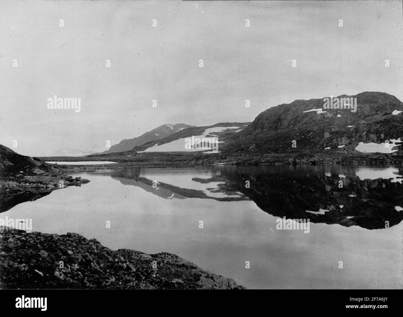 Swamp grapes hi-res stock photography and images - Alamy