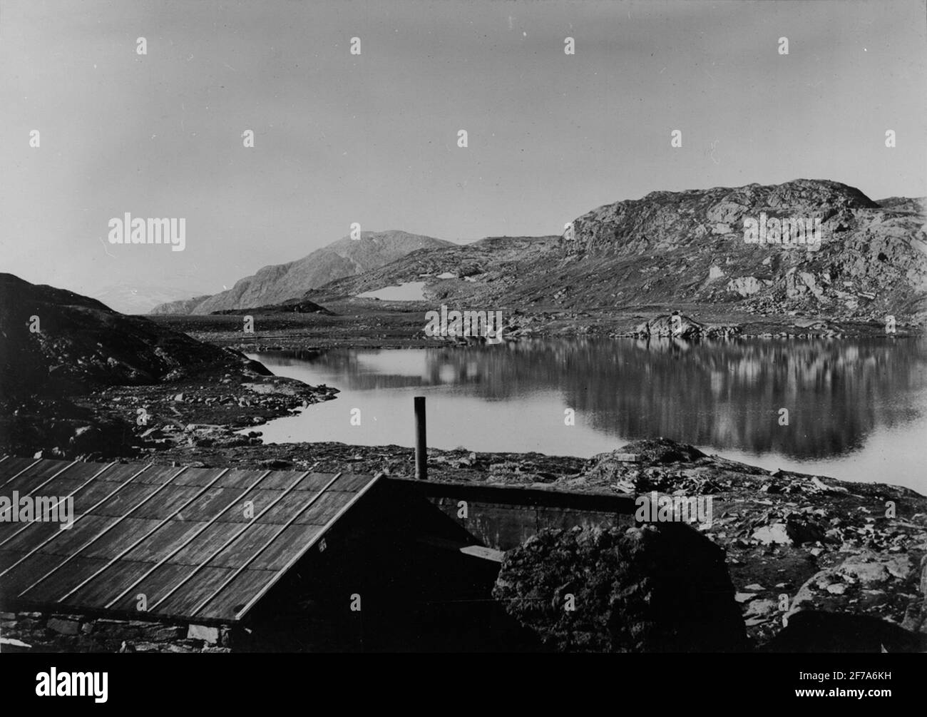 Swamp background Black and White Stock Photos & Images - Alamy