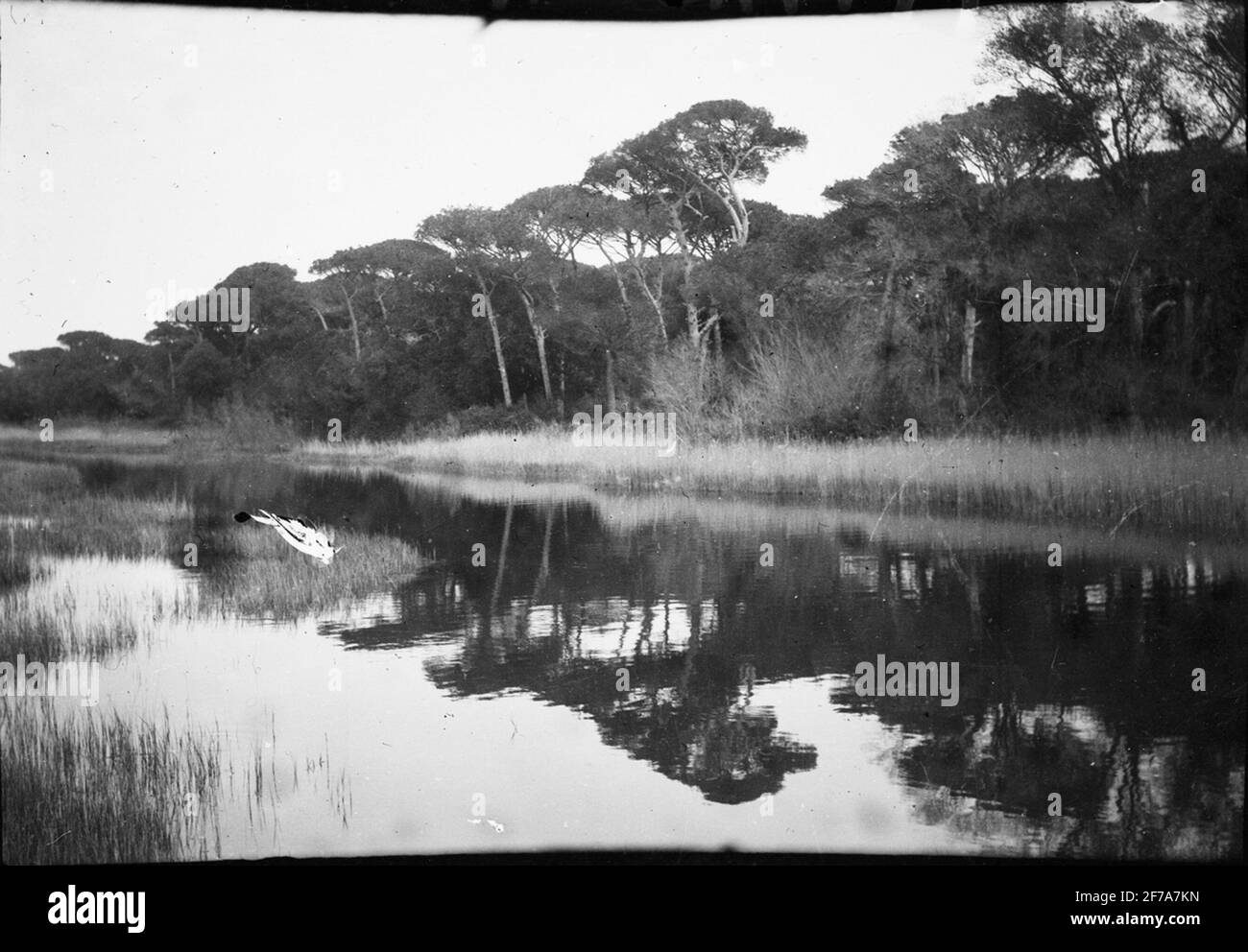 Feature pictures Black and White Stock Photos & Images - Alamy