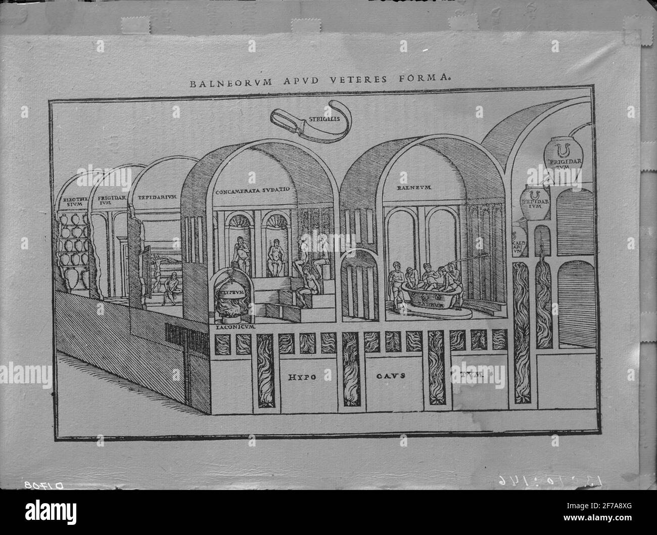 Picture features Black and White Stock Photos & Images - Alamy