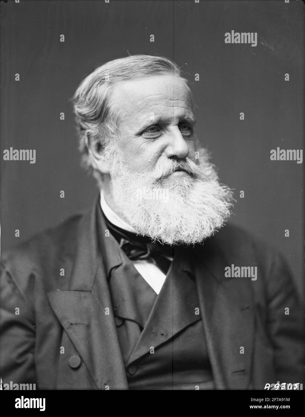 Emperor pedro hi-res stock photography and images - Alamy