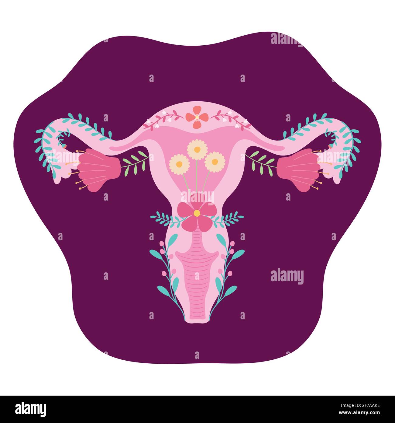 floral female uterus on background Stock Vector Image & Art - Alamy