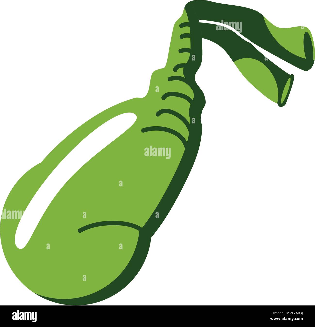human gallbladder organ Stock Vector Image & Art - Alamy