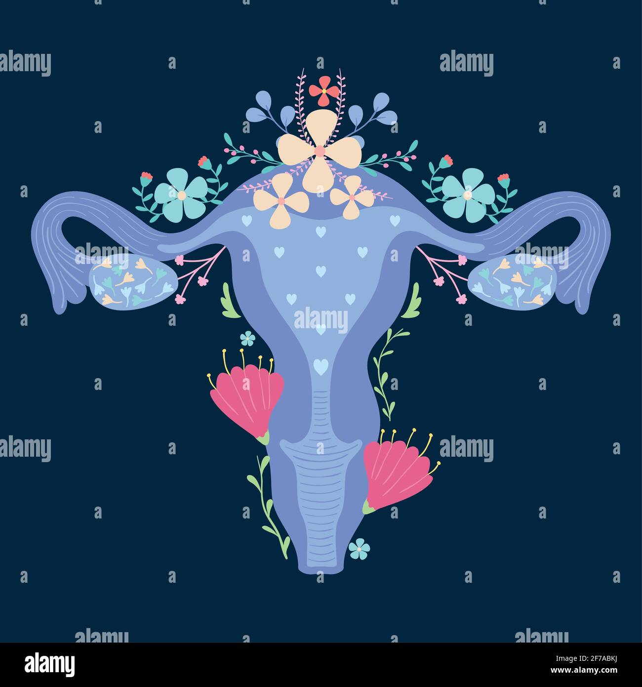 Fallopian Tubes High Resolution Stock Photography and Images - Alamy