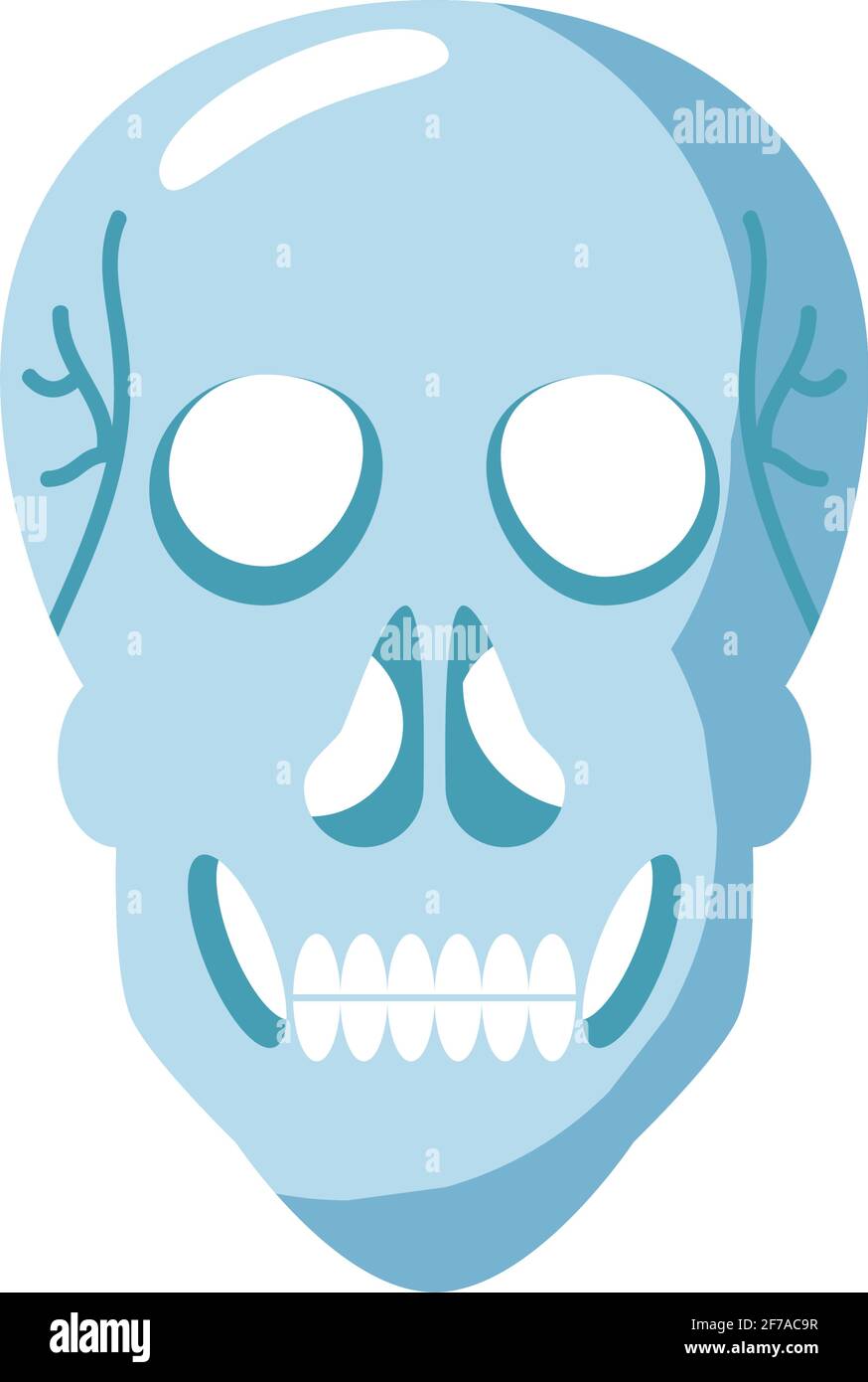 human skull icon Stock Vector Image & Art - Alamy