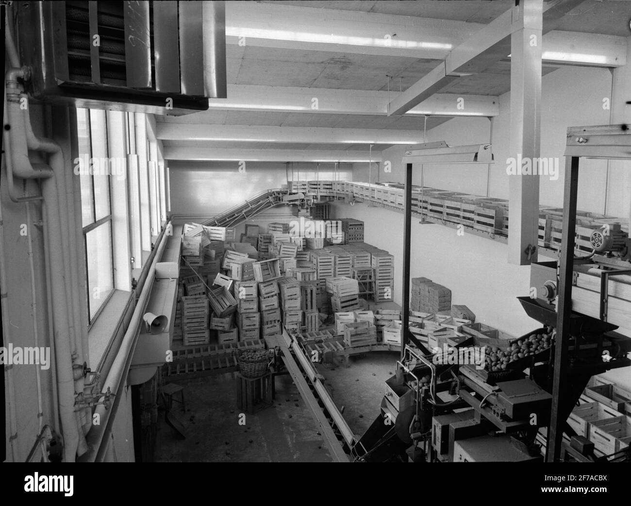 Rlf hi-res stock photography and images - Alamy