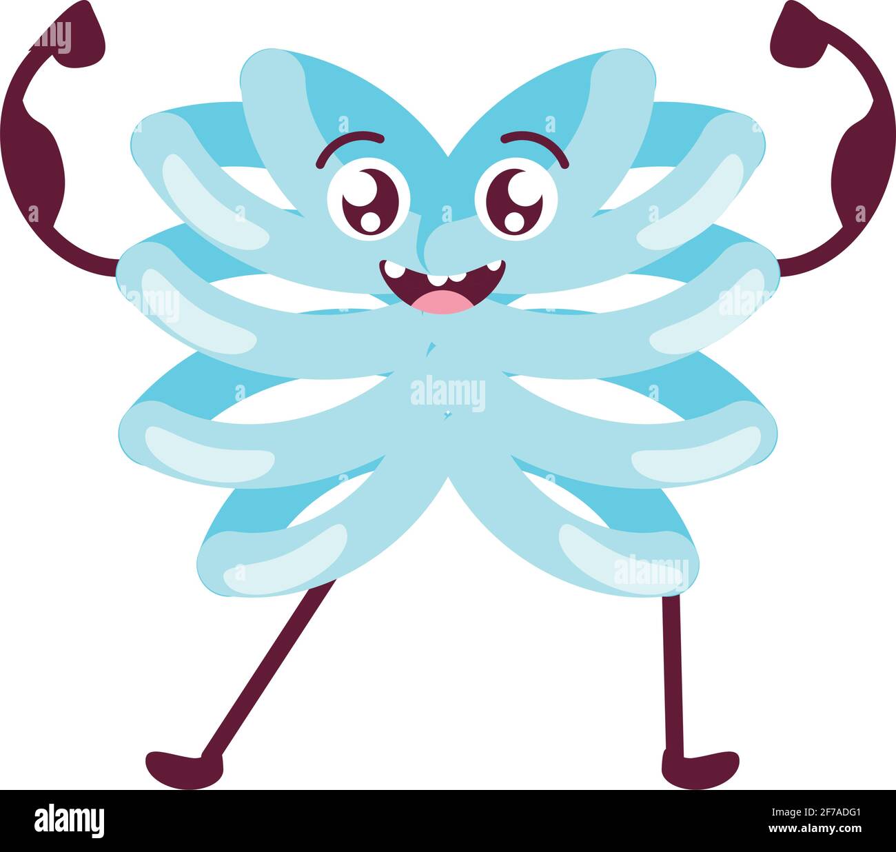 Sternum bone anatomy Stock Vector Images - Alamy