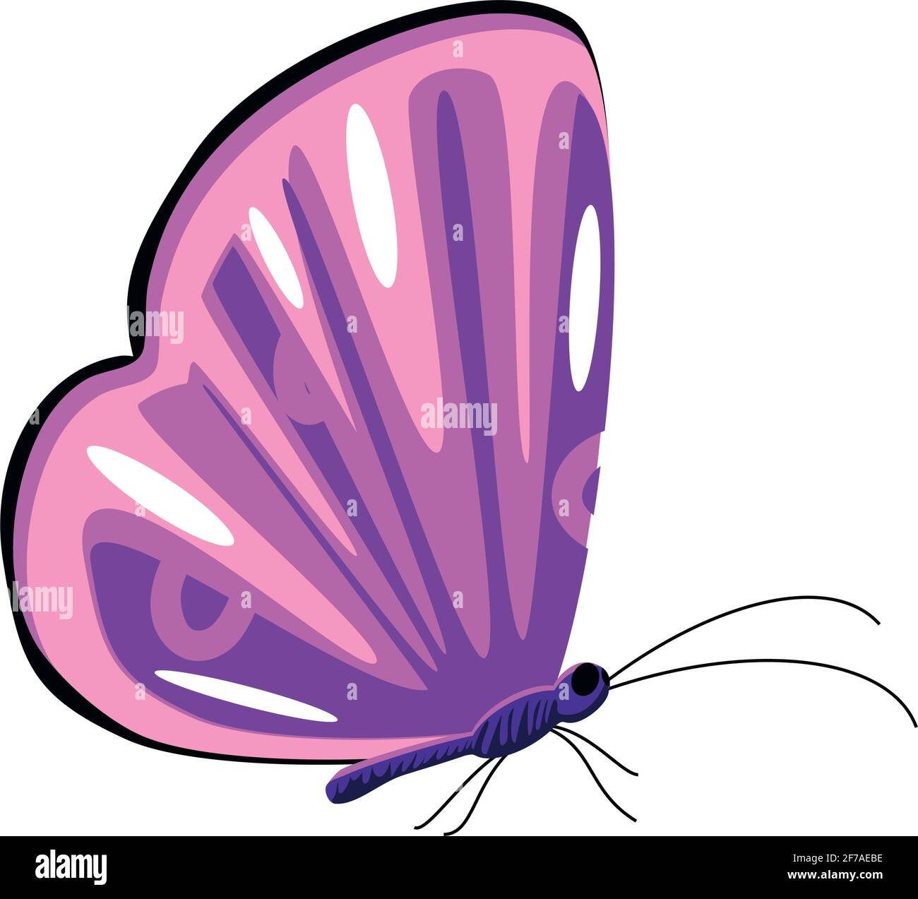 purple butterfly insect Stock Vector Image & Art - Alamy
