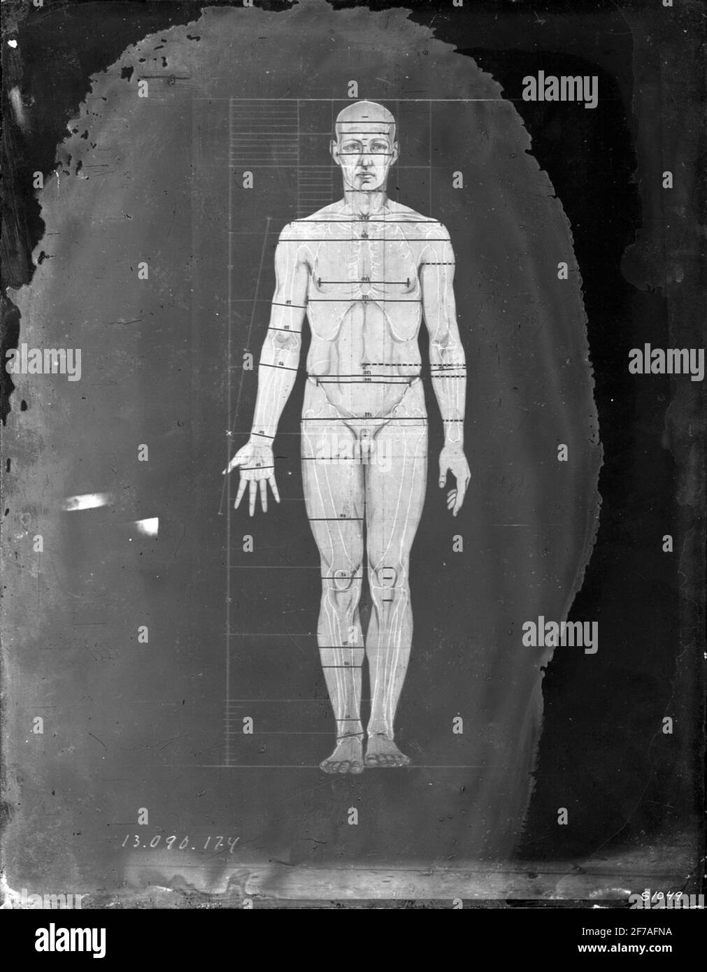 Front view human skeletal Black and White Stock Photos & Images - Alamy