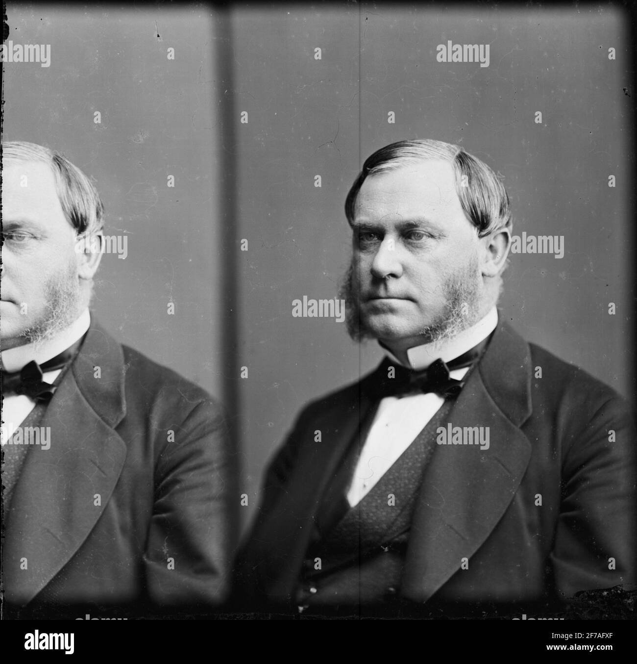 Portrait of the Geer Stock Photo - Alamy