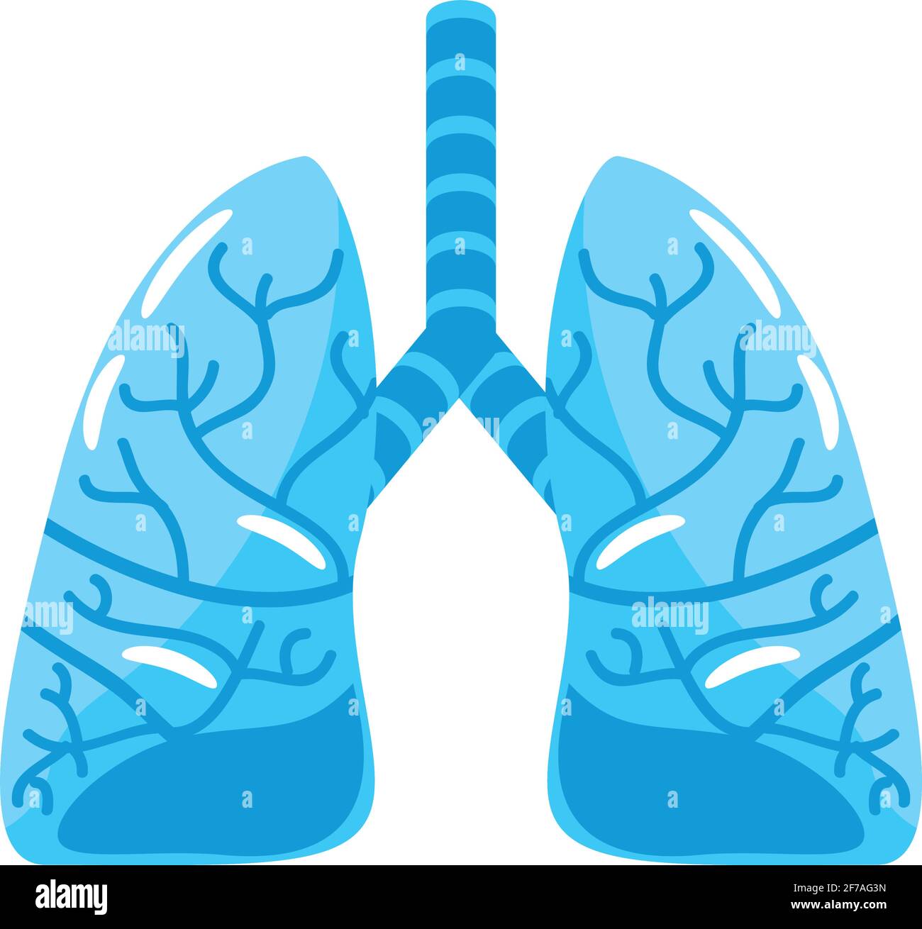 human lungs organs Stock Vector Image & Art - Alamy
