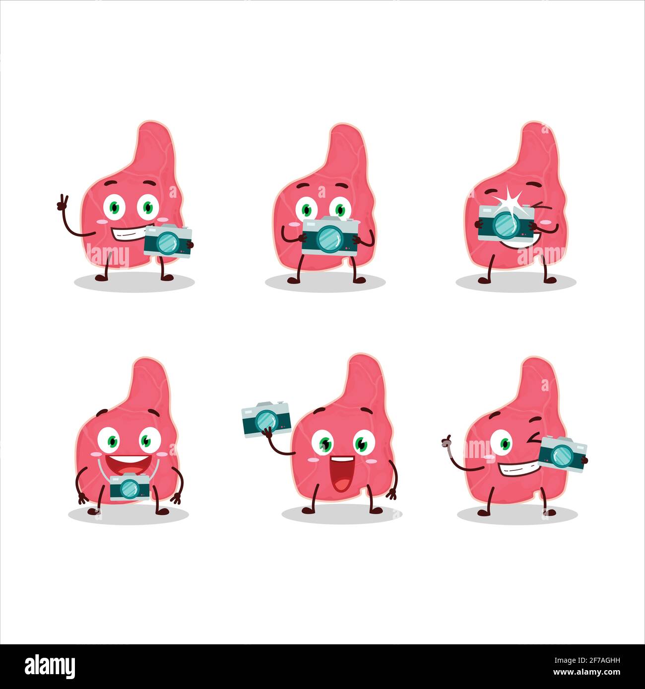 Photographer profession emoticon with prime rib cartoon character ...