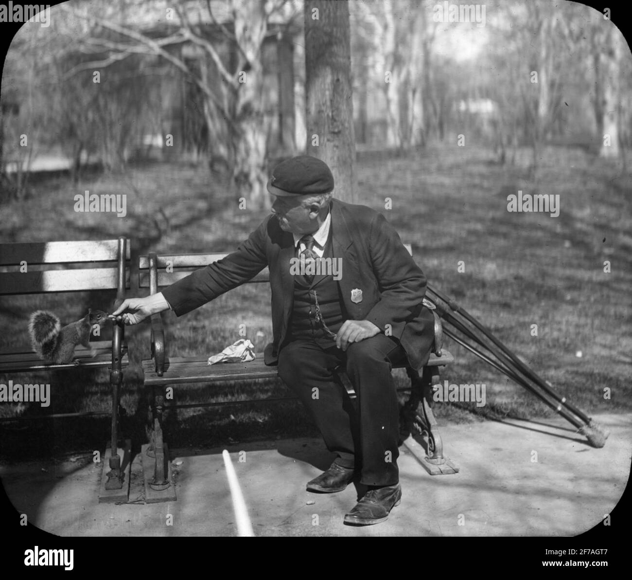 Photographic feeding Black and White Stock Photos & Images - Alamy