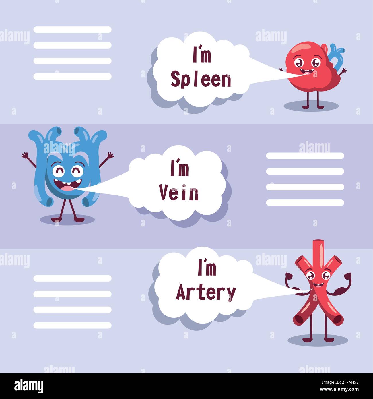 Cute human spleen cartoon Stock Vector Images - Alamy