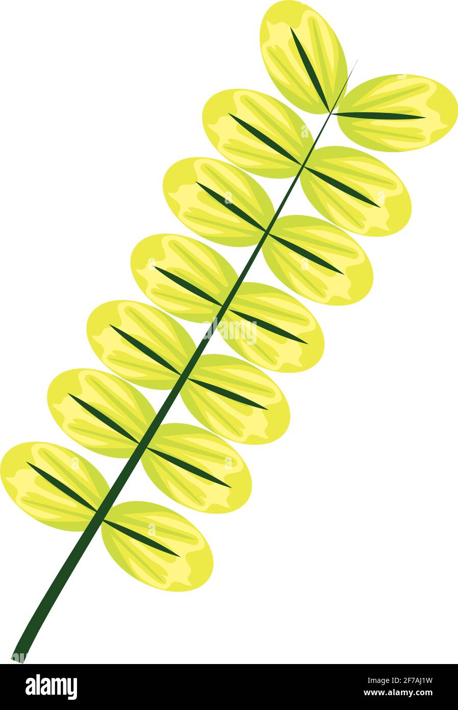 wheat branch nature Stock Vector Image & Art - Alamy
