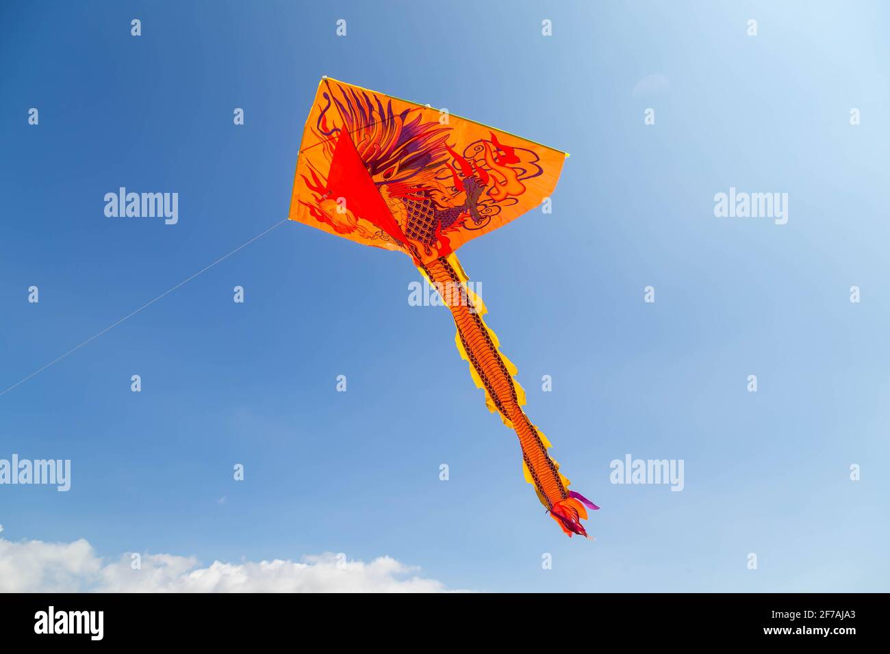 Chinese Kites In The Sky