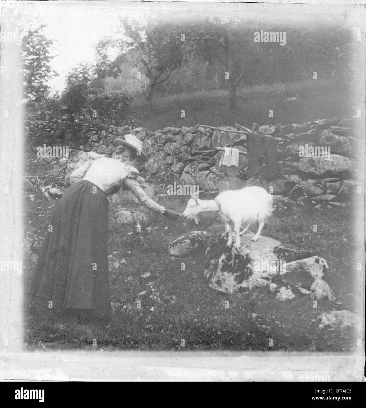 Photographic feeding Black and White Stock Photos & Images - Alamy