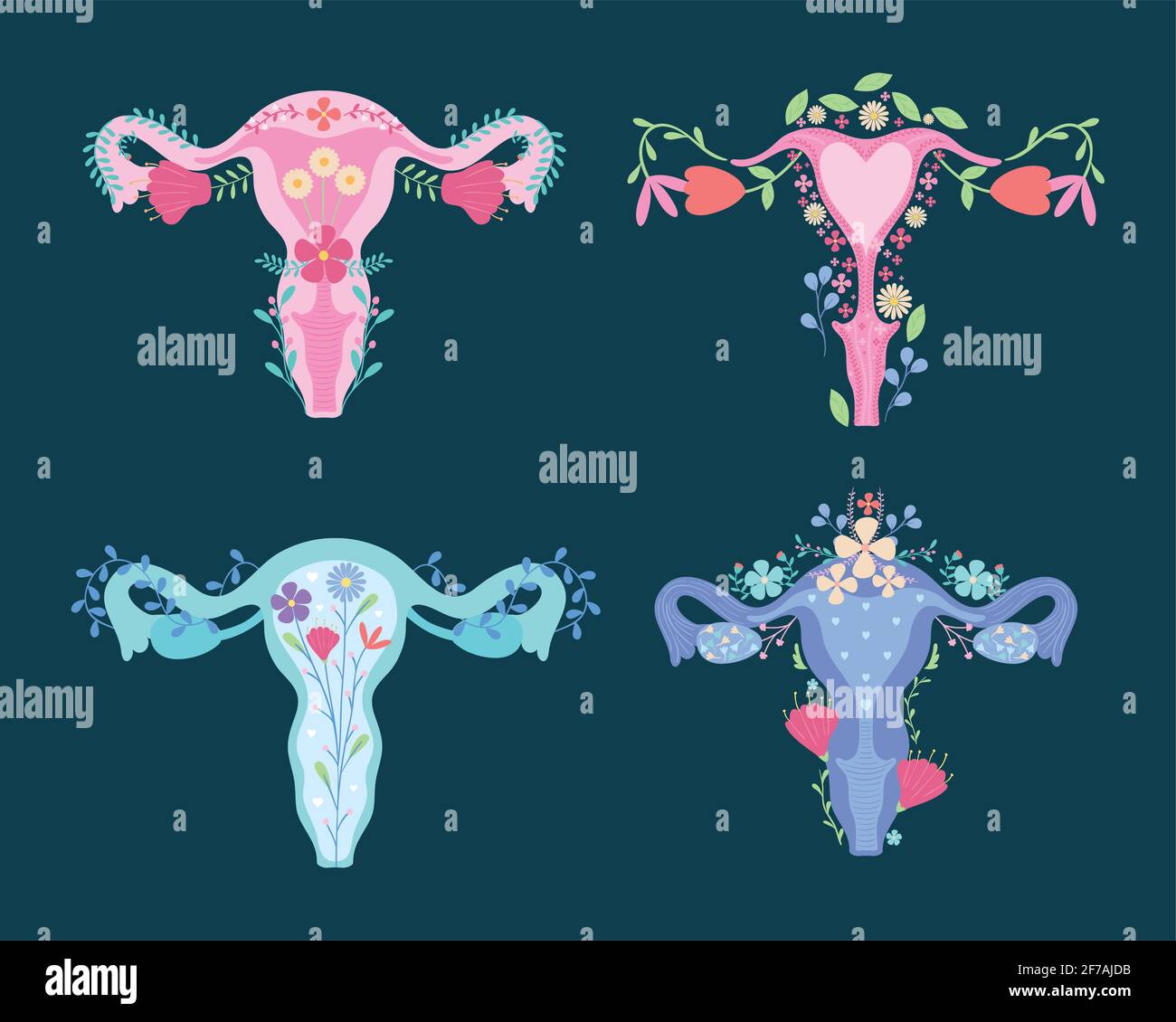 Female flower with ovary Stock Vector Images - Alamy