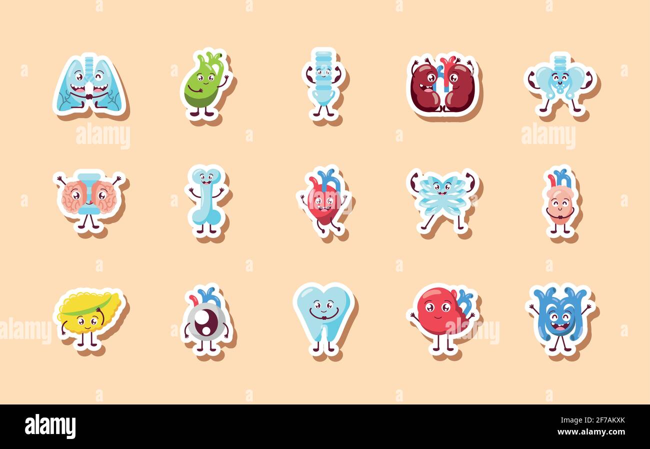 cute human organs Stock Vector Image & Art - Alamy