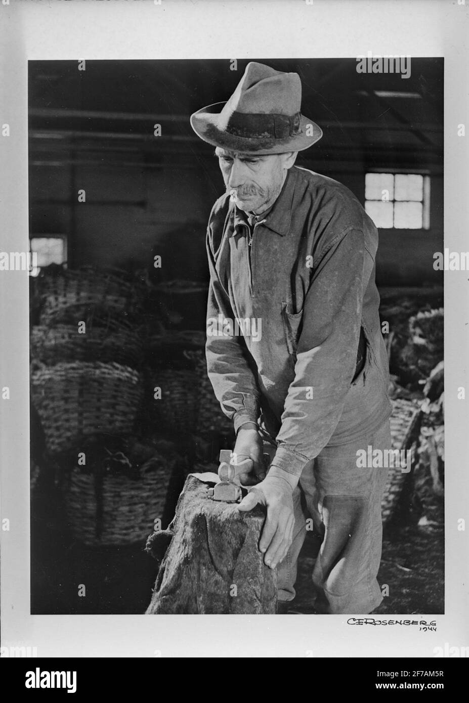 Tannery operation hi-res stock photography and images - Alamy