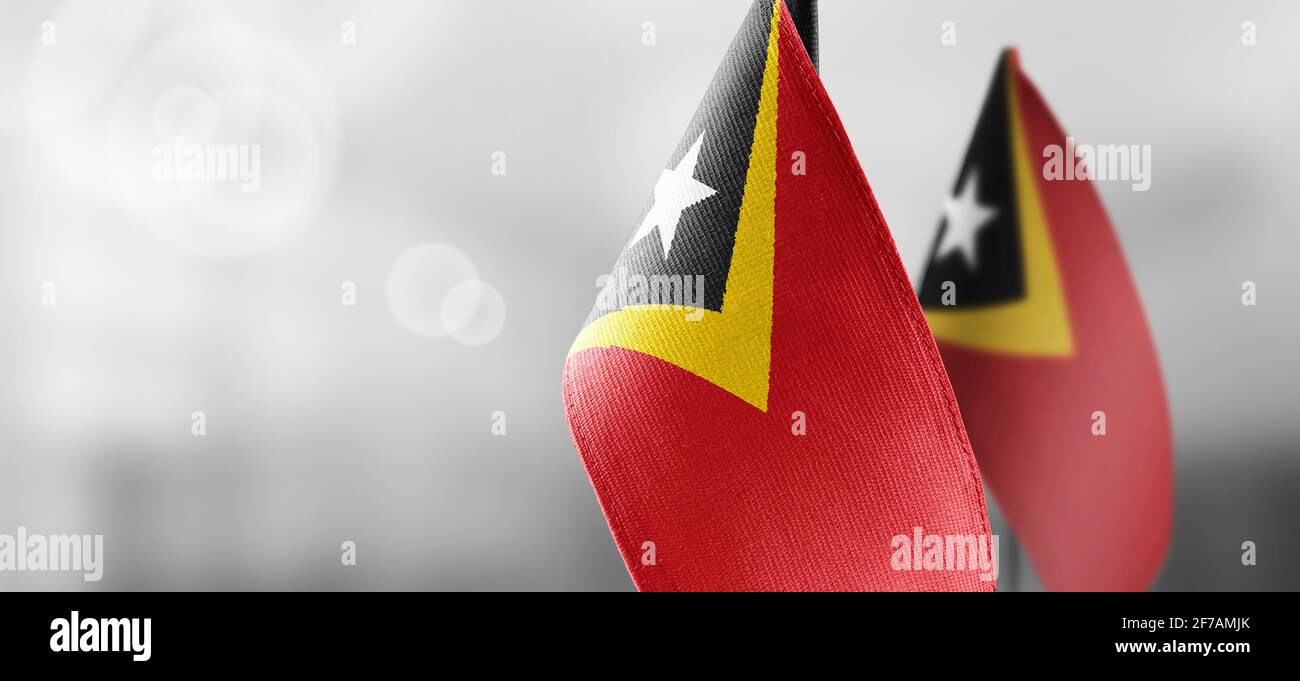 Small national flags of the East Timor on a light blurry background ...