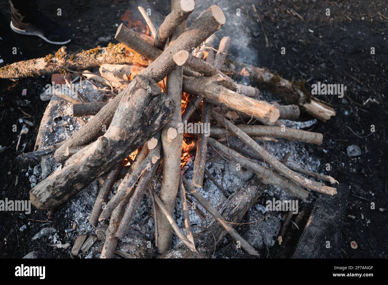 Fireplace in nature with wood and embers ready for grilling Stock Photo ...