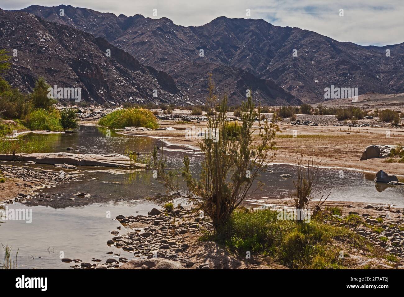 Dry riverbed fish hi-res stock photography and images - Alamy